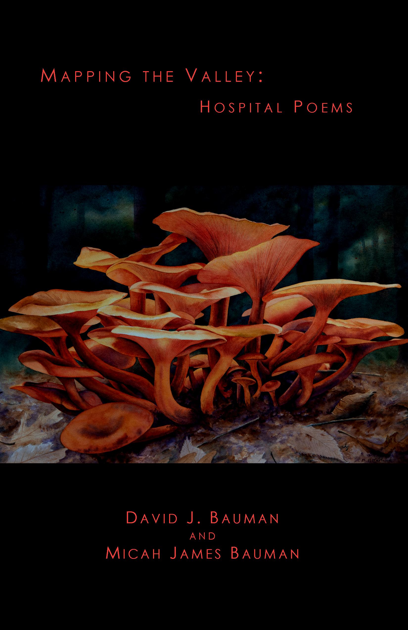 Publications – David J Bauman